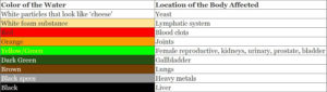 Ionic Foot Bath Detox Color Chart Explained - For Your Massage Needs