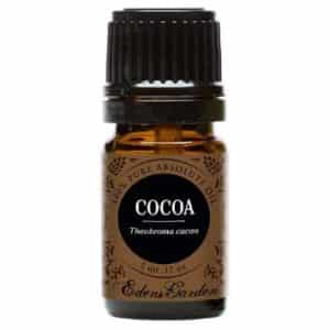 Cocoa Essential Oil Benefits and Uses - For Your Massage Needs
