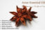 Anise Essential Oil Benefits and Uses - For Your Massage Needs