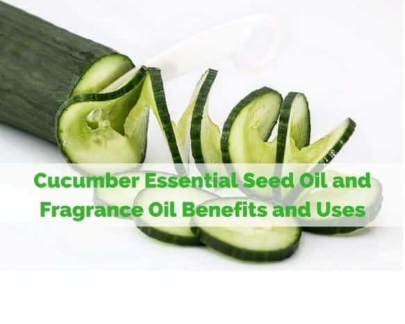 Cucumber Essential Seed Oil and Fragrance Oil Benefits and Uses - For ...