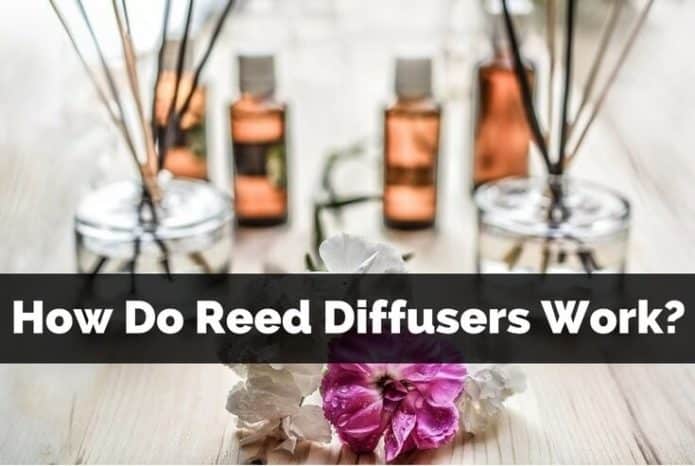 How Do Reed Diffusers Work? - For Your Massage Needs