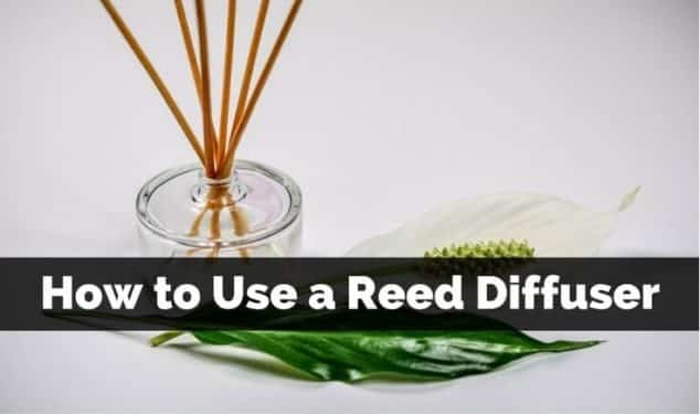 How to Use a Reed Diffuser - For Your Massage Needs