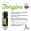 doTERRA Forgive Essential Oil Renewing Blend Review - For Your Massage ...